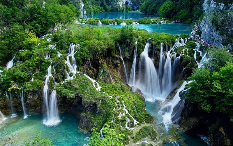 9 Best National Parks in Vietnam for Wildlife and Adventure