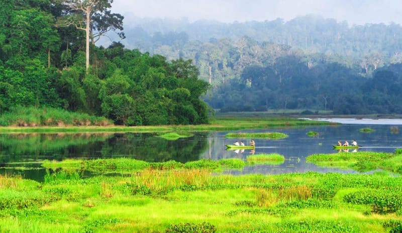 9 Best National Parks in Vietnam for Wildlife and Adventure