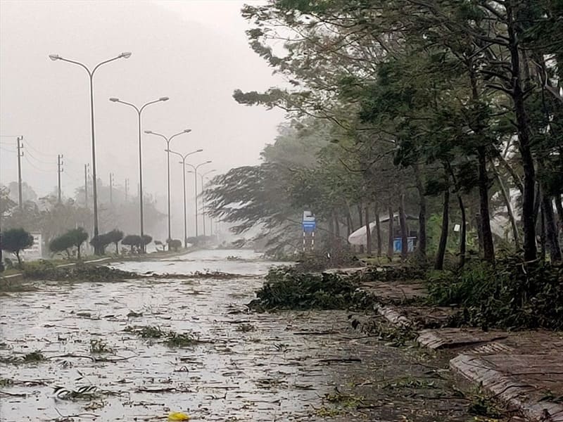 Vietnam Typhoon Season: Best Time, Safety & Travel Tips