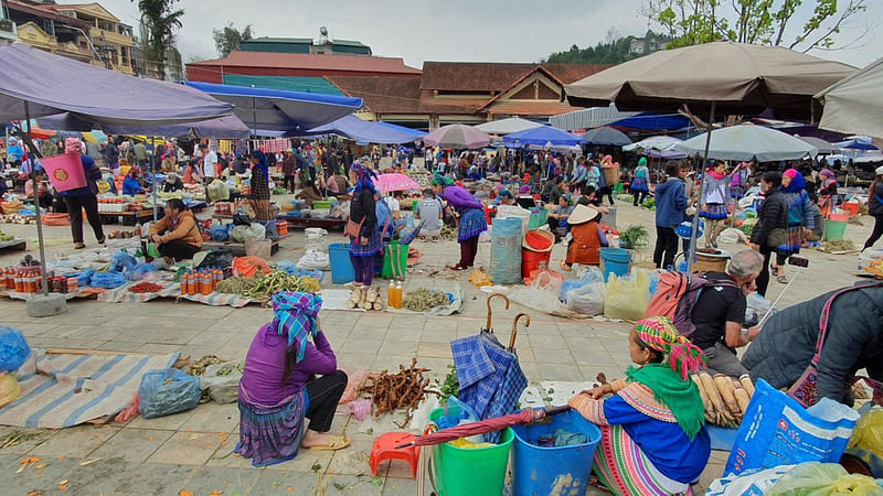 Best Time to Visit Sapa, Vietnam: Weather & Travel Guide
